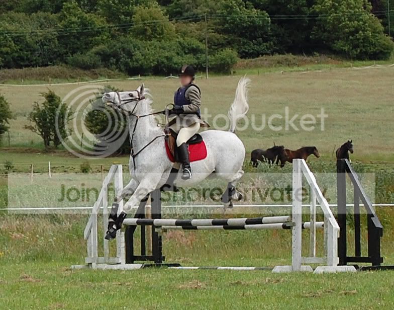 Catching interesting jumping positions of "professional" riders | The ...