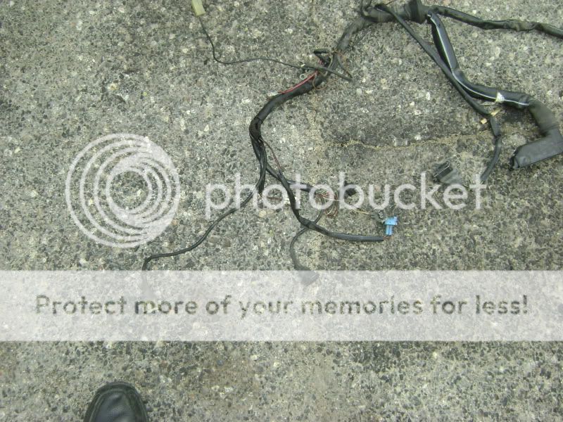 FS: 1991 GLI 16v CIS Engine harness and ECU | VW Vortex - Volkswagen Forum