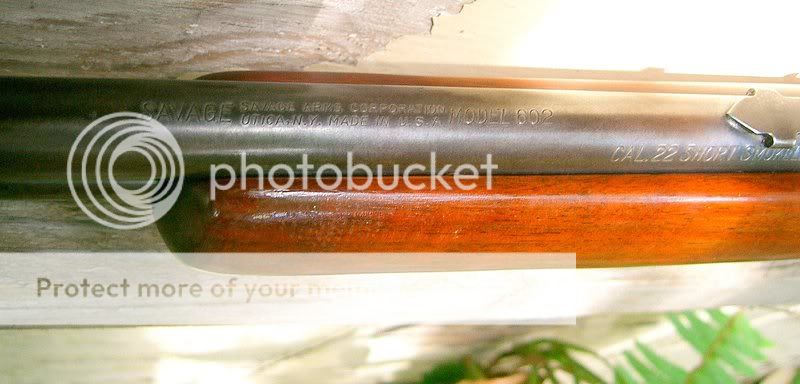 Springfield Model 187 | Rimfire Central Firearm Forum