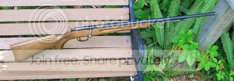 Stevens 66b Buckhorn | Rimfire Central Firearm Forum