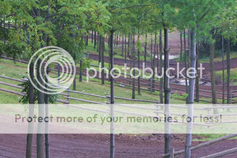 Bigwave's "Walton National" Photo Report - Moto-Related - Motocross ...