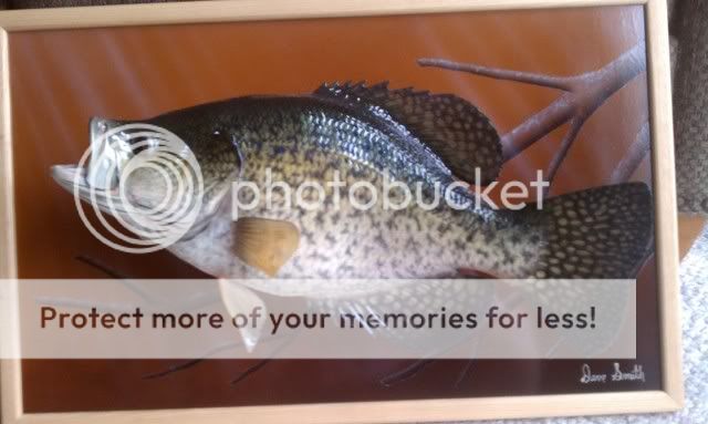 Oregon state record Crappie | IFish Fishing Forum