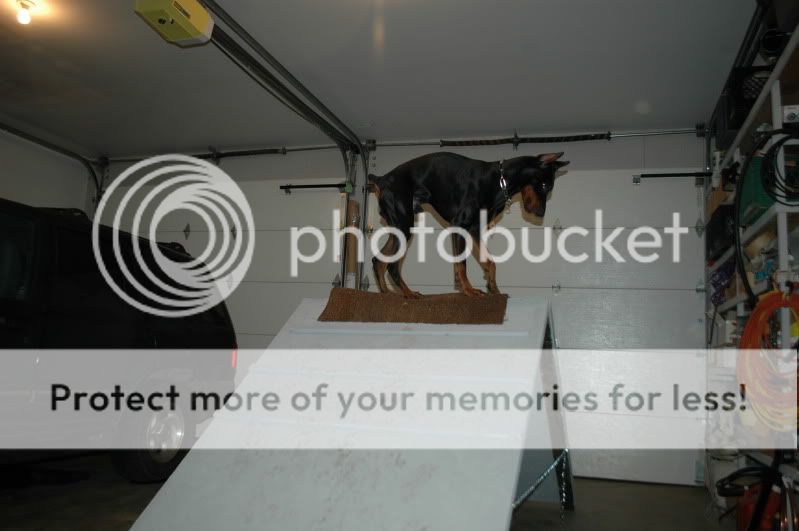 Specs, Designs?? Bite Box, Placement, Positions Boxes Etc.. | Working ...